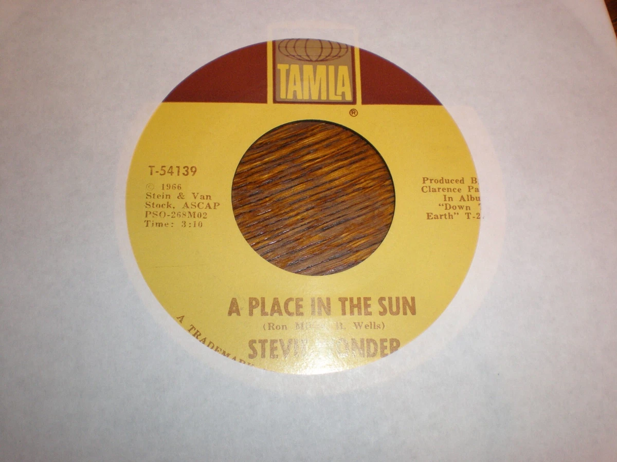 Stevie Wonder Sun