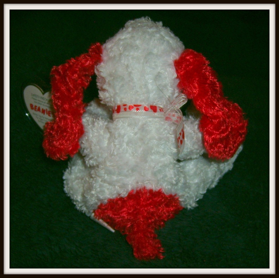 Ty Beanie Baby of the Month Adonis Dog NWMT, Exclusive | eBay