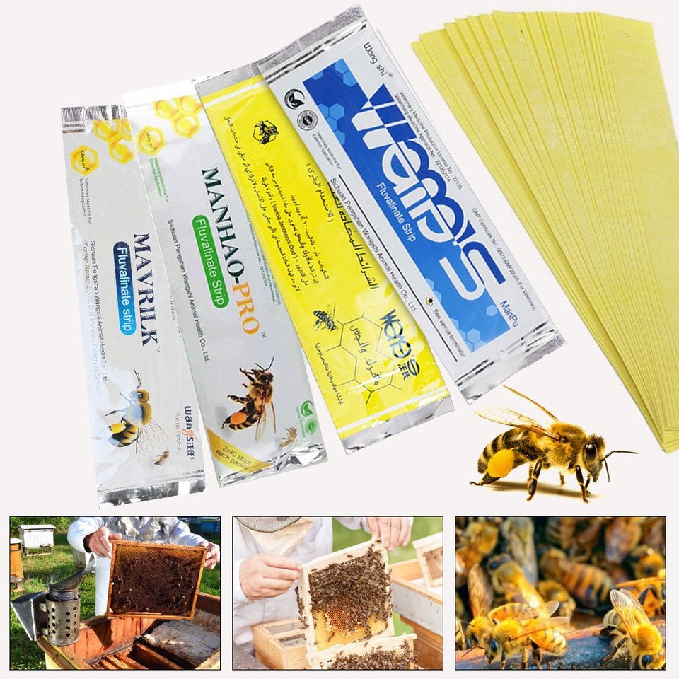 10/50Pcs Bee Mite Acaricide Strip Beekeeping Bee Varroa Mite Killer ...