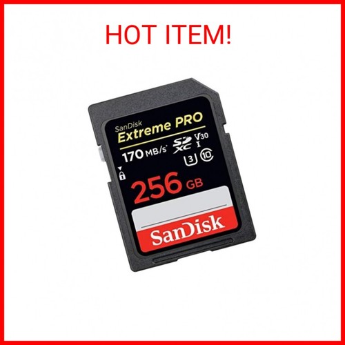 [Older Version] SanDisk 256GB Extreme PRO SDXC UHS-I Card - C10, U3 ...