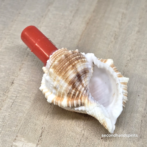 Conch Shell Whistle Ocean Crafts Small Toy Hand Made Fun Music 2 5/8 ...