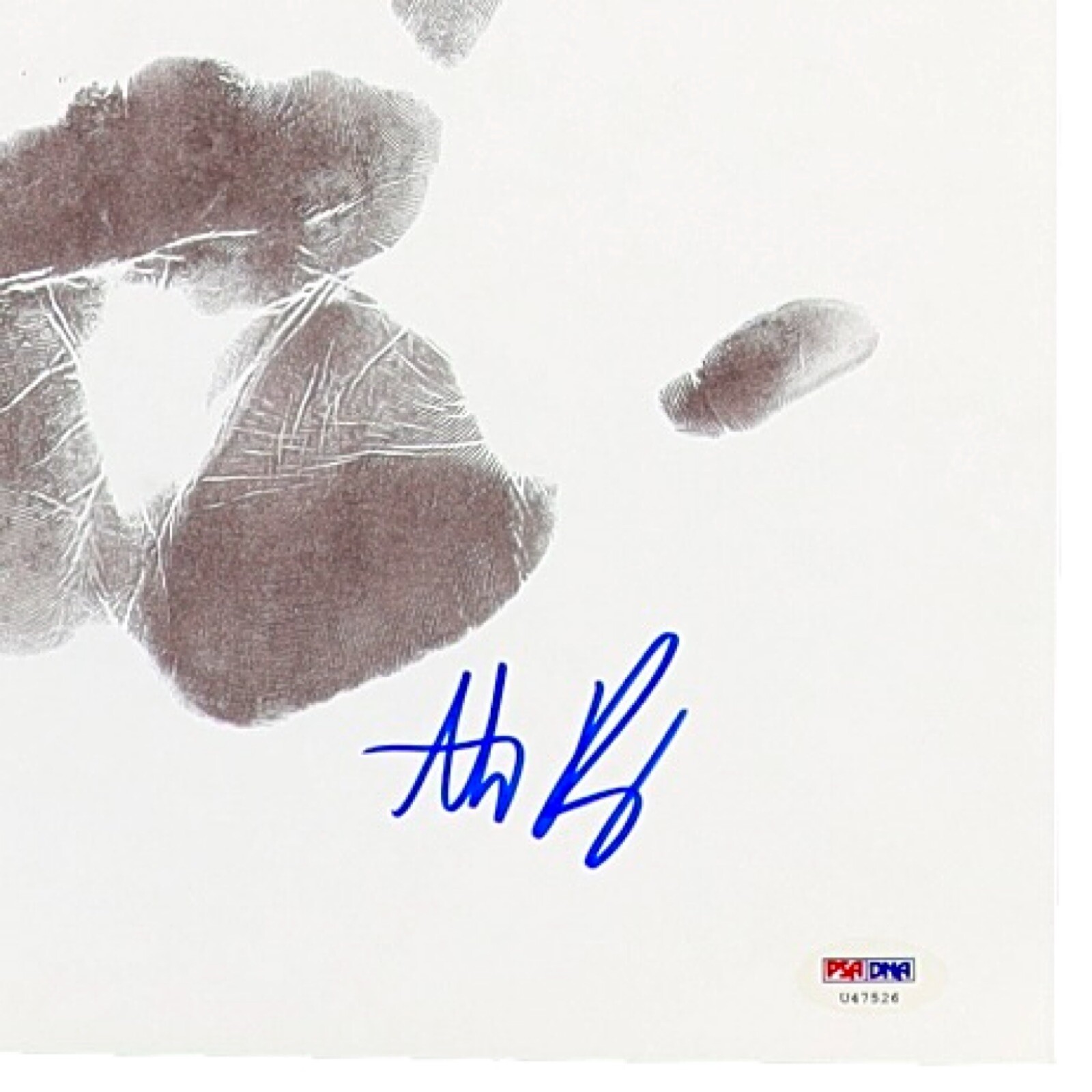 💥Anthony Rizzo💥 Chicago Cubs Signed Handprint 2016 WorldSeries Champ ...
