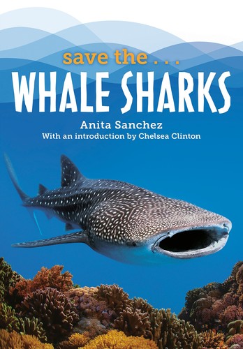 NEW BOOK Save the...Whale Sharks by Clinton, Chelsea (2022) | eBay ...