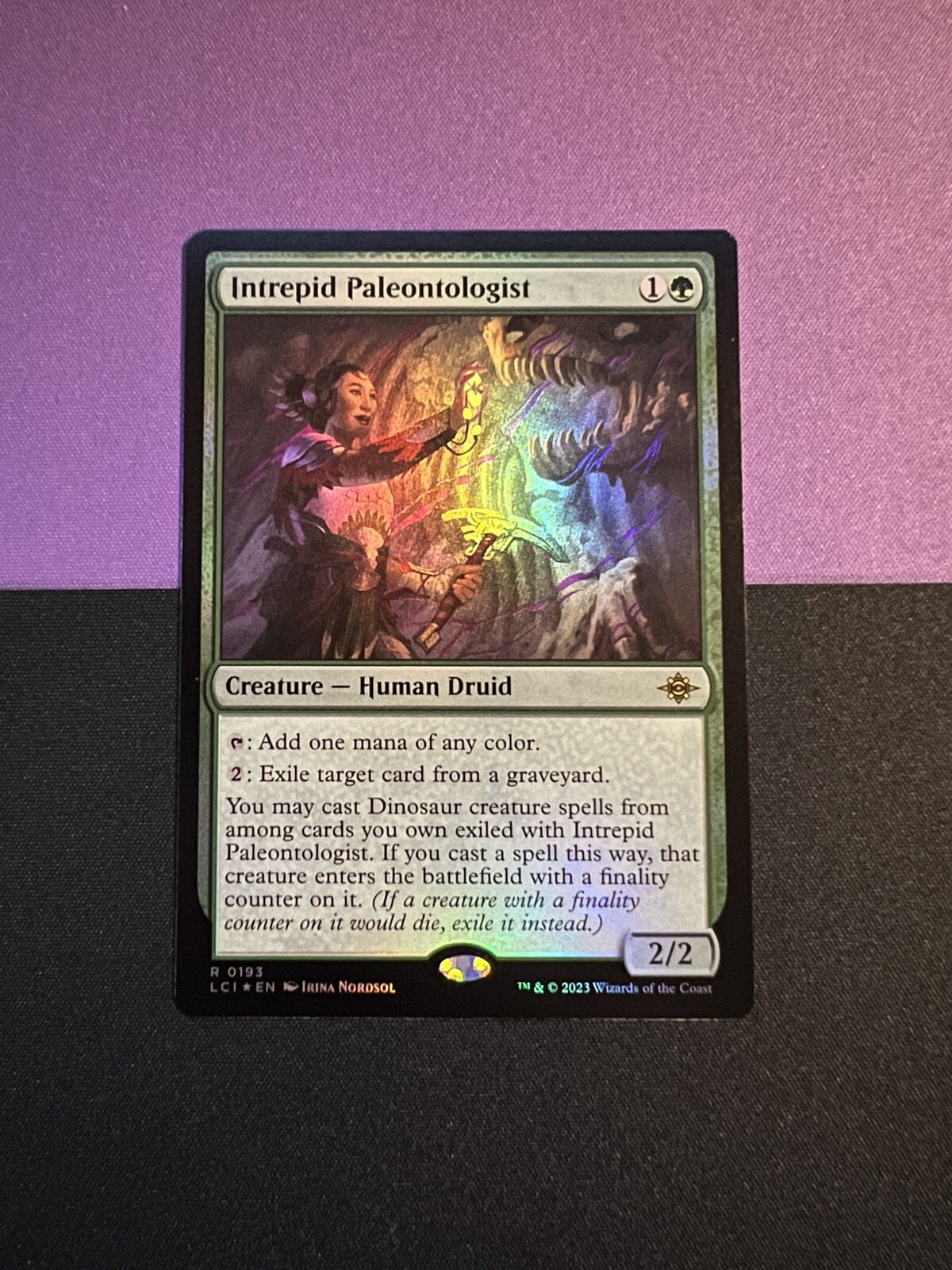 MTG+Intrepid+Paleontologist+The+Lost+Caverns+of+Ixalan+0193+Foil+Rare ...