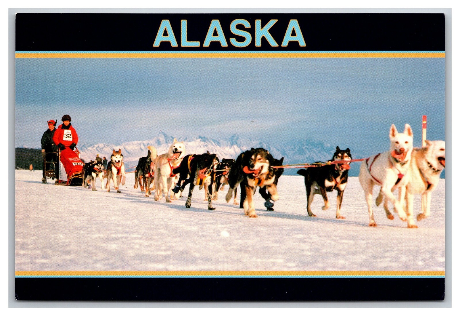 Alaska Iditarod Dog Team Mushing Dog Sled Race Large 6x4 Size Unposted ...