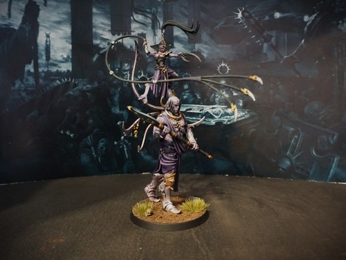 Syll'Esske: The Vengeful Allegiance painted Warhammer 40k AoS Slaanesh ...