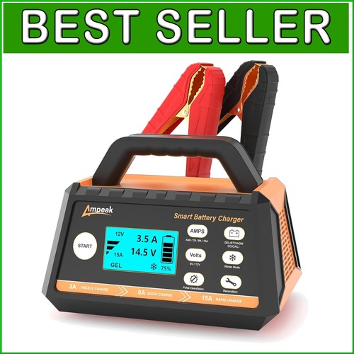 Multi-Stage Car Battery Maintainer - 6V/12V with Auto Desulfator ...