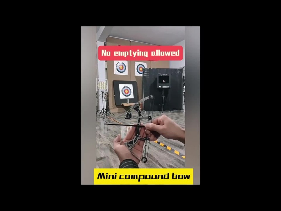 9.5" Mini Compound Bow and Arrow Set W/ 12 Arrows Mini Archery Bow ...