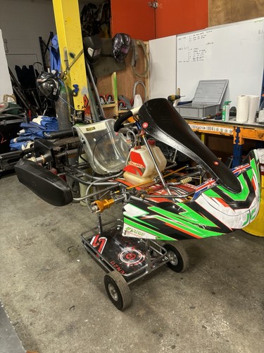 2020 TG16 Gillard Kart | eBay UK
