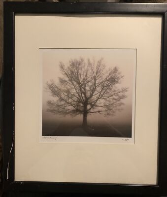 Richard Calvo “AWAKENINGS” Photograph Signed By Artist 14x16 Print | eBay