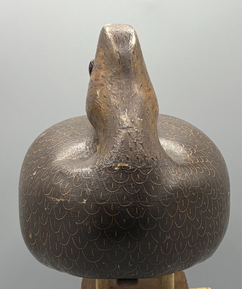 **ORIGINAL PAINT** PREENING MALLARD HEN VINTAGE DECOY DUCK | eBay