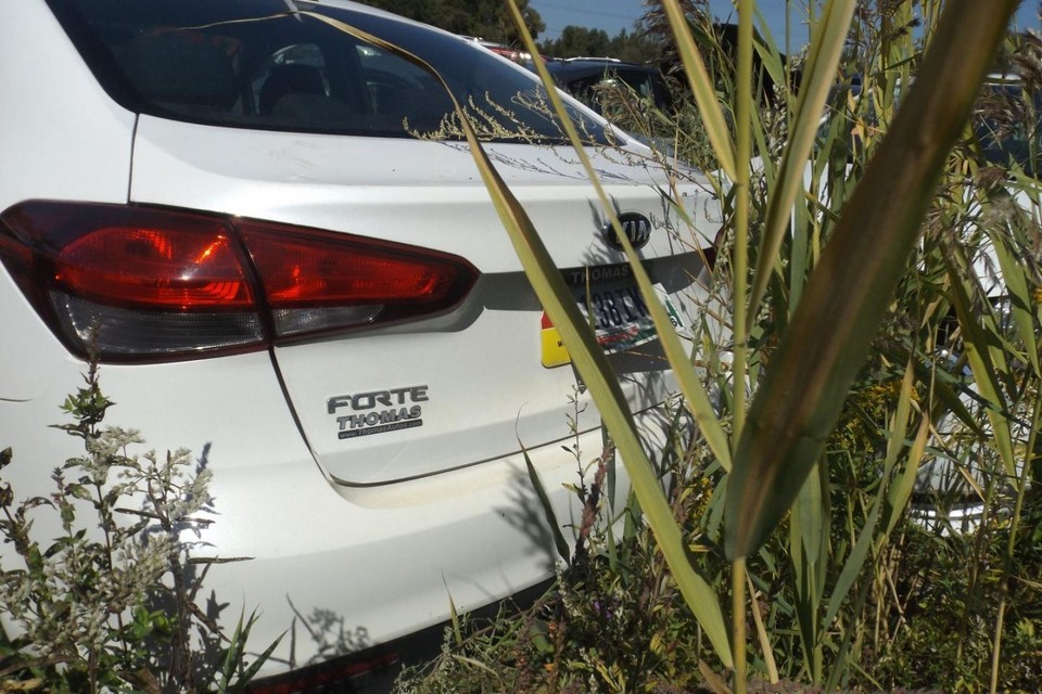 Temperature Control Hatchback Fits 17-18 FORTE 1675143 | eBay