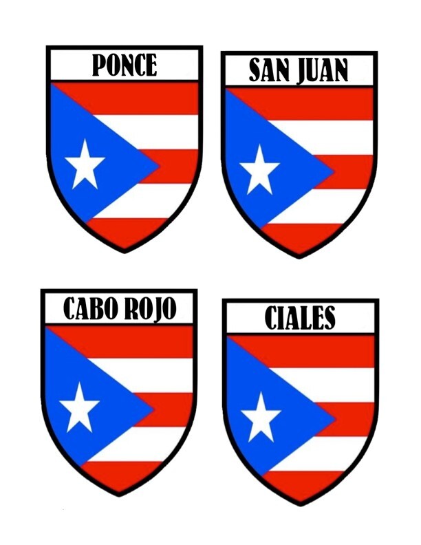Puerto Rico Flag - sticker-decal-city shield- We Have All Towns | eBay