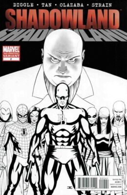 Shadowland #2 Comic 2010 - Marvel Comics 3rd Print - Spider-Man ...