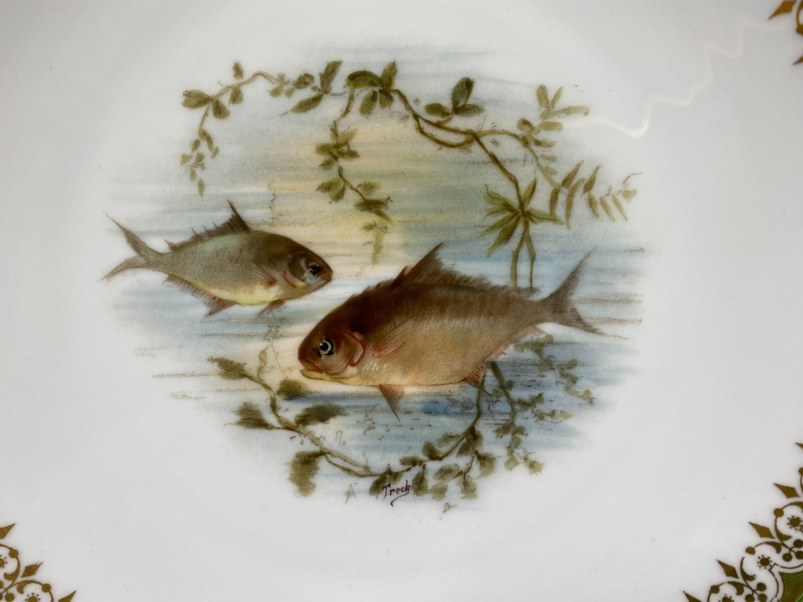 Set of 5 Designs ~ Gilman Collamore & Co New York" FISH" Cabinet Plates ...