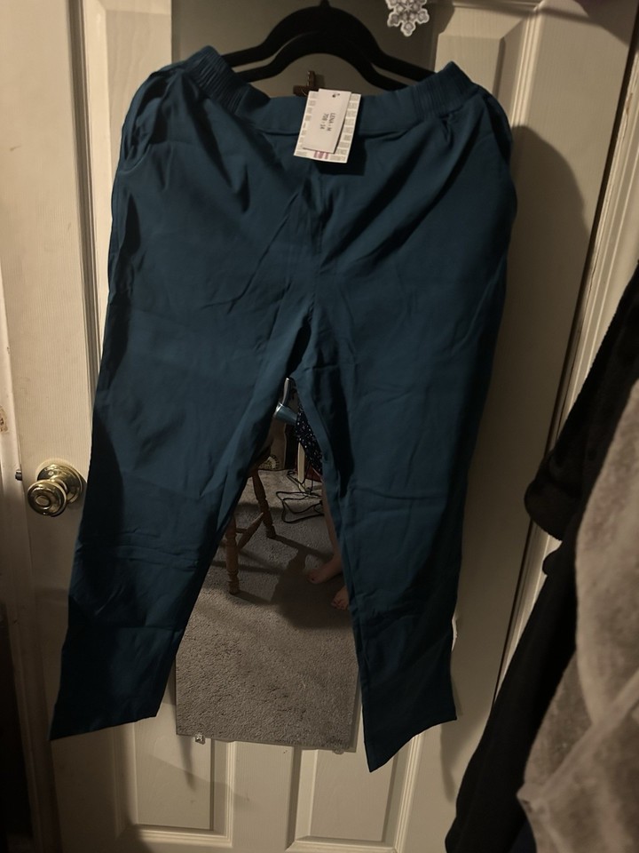 Lularoe Lena Pants Medium | eBay