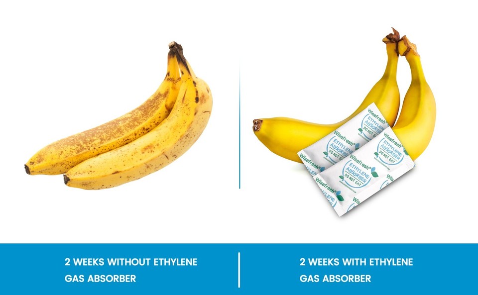 10 Gram Ethylene Gas Absorber Packets, Vegetable & Fruit Fresh Produce ...