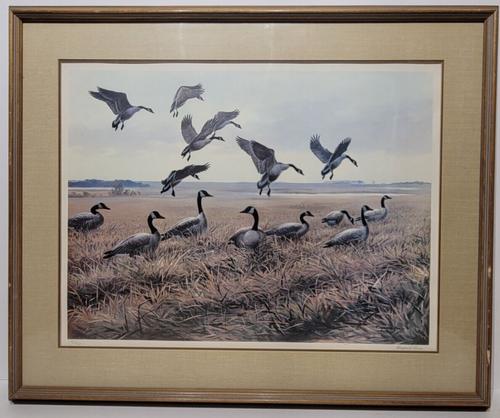 Maynard Reece "Feeding Time - Canada Geese" Lithograph Signed/Numbered ...
