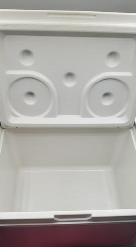 Vintage Mini Coleman Flip top Cooler Pink W/ Teal Handle Model 5205 | eBay