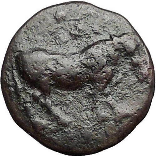 GELA in SICILY 420BC Bull River God Gelas Authentic Ancient Greek Coin ...