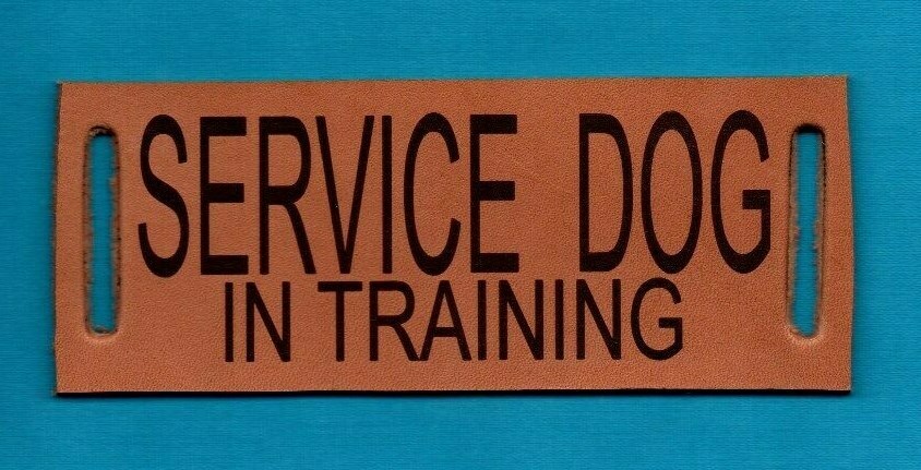 SERVICE DOG IN TRAINING Leather Lead service dog lead vest patch | eBay