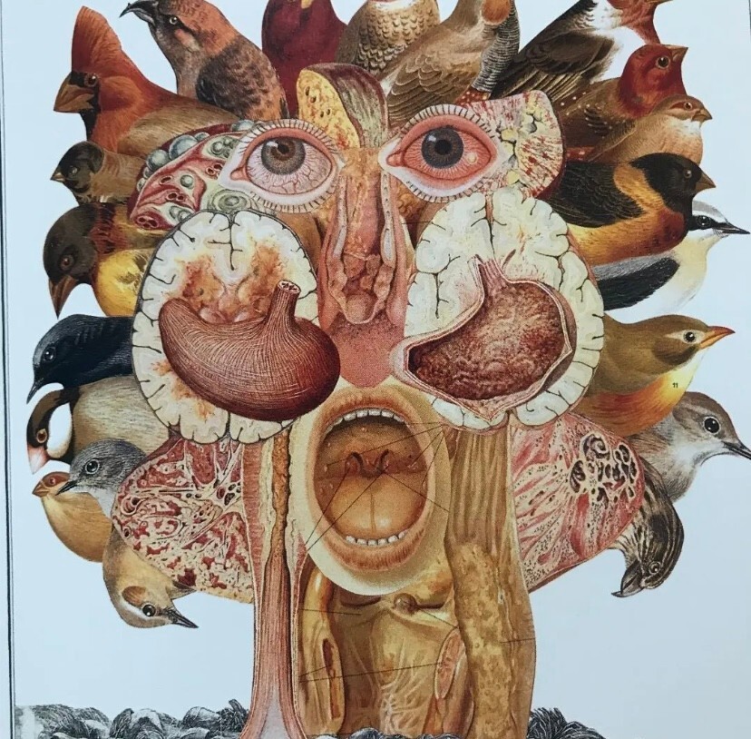 Jan Svankmajer Museum Japanese Book Sculptures 2001 Petr Holy Drawings ...