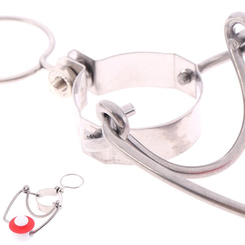 Red Wine Cap Homebrew Beer Bottle Replacement Swing Cap Flip Top ...