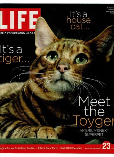 Life Magazine Feb. 23, 2007. Toyger, America's Next Superpet. No label ...