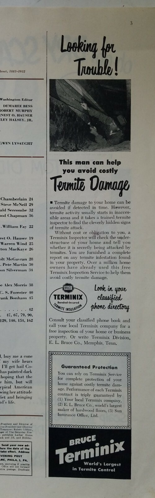 1951 Bruce Terminix this man can help you avoid costly termite damage ...