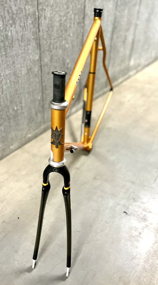 Voodoo Rada Road Bike / Touring Steel Frame / Easton EC70 Full Carbon ...