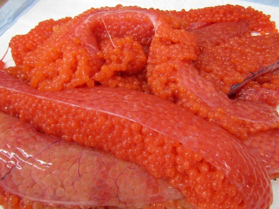 Fresh Wild Alaskan King Salmon Roe Skeins | eBay