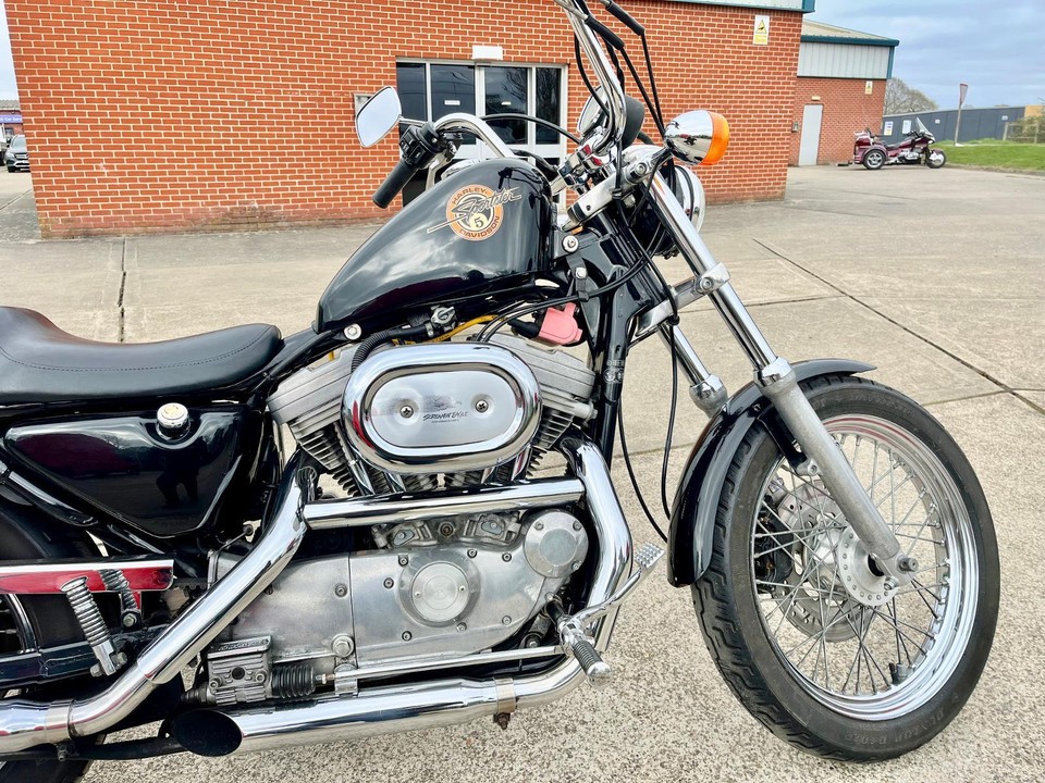 Harley-Davidson XLH 883 IN VERY GOOD ALL ROUND CONDITION FOR YEAR | eBay UK