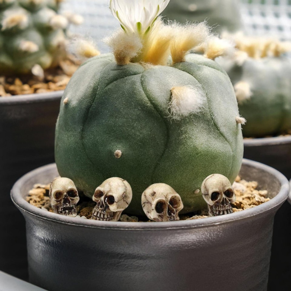 60PCS Mini Skull Heads Figurines Skeleton Garden Ornament Halloween ...