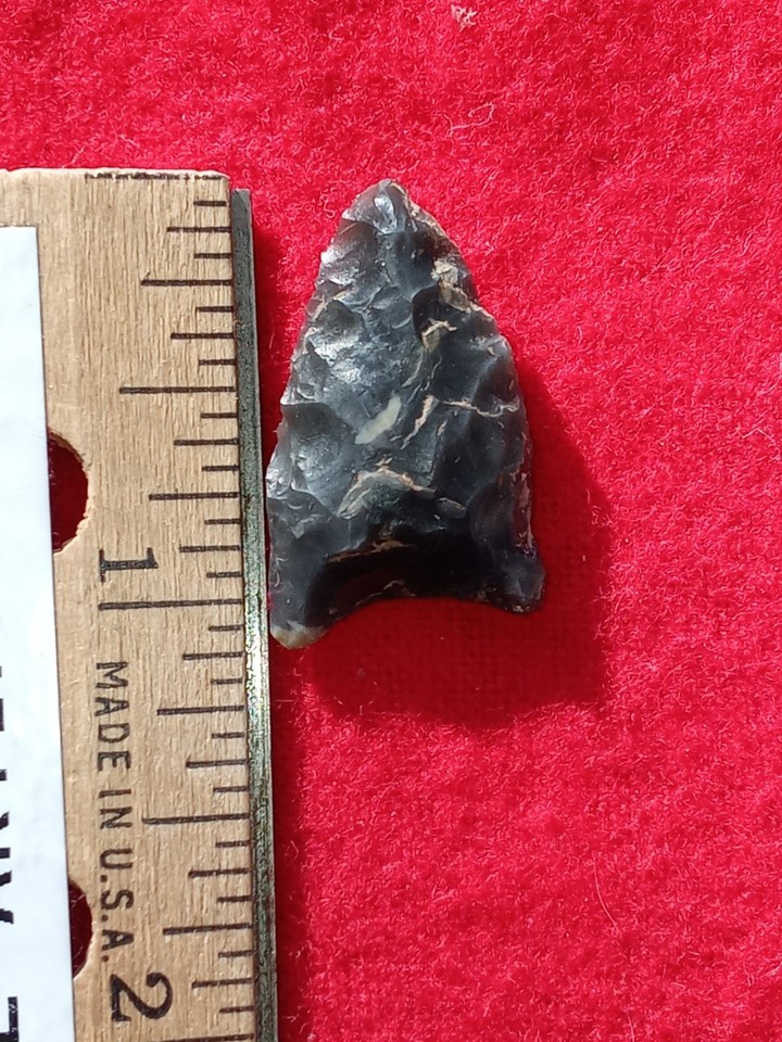 👉 GREAT 1 1/8" VIRGINIA KNOX CHERT PALEO DART CACTUS HILL FORM ...