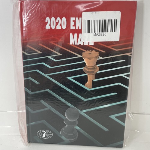 2020 Endgame Maze by Chess Informant - Brand New Sealed - Hardcover 234 ...