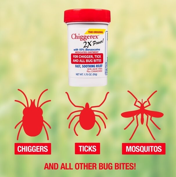 Chiggerex 2x Power Chigger Relief Medicated Ointment - 1.75oz for sale ...