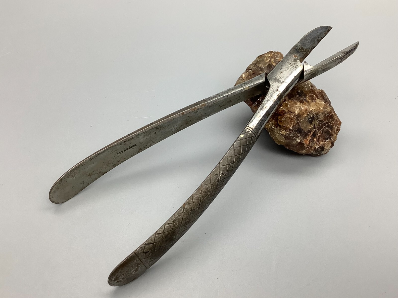 Antique Medical Surgical Snips Shears | eBay Australia