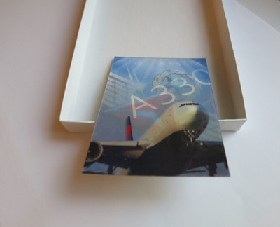 2015 Delta Airlines A330 Pilot Trading Card #38 Airbus 330-300 | eBay