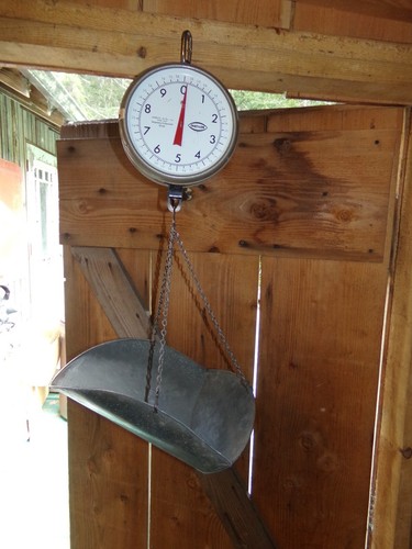 Vintage Chatillon 20 Lb Hanging Produce General Store Scale W/Tray | eBay