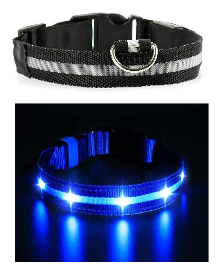 Pomsky LED Dog Collar Size S Small Blue Light Up Flashing Pet Lead ...