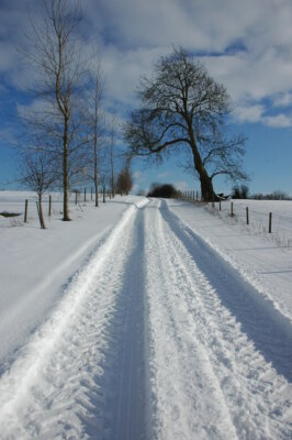 Photo 6x4 Farm road near Stockwell Snow covered farm road near ...