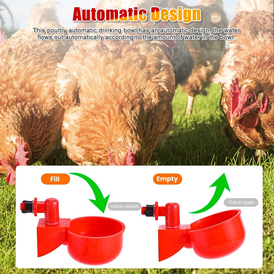 12PCS Chicken Automatic Watering Cups Drinker Waterer for Duck Quail ...