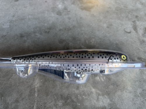 BAITSANITY 10in. Broomwalker Gt Topwater Bite - 14in. W/Brush (Trout) - NEW | eBay