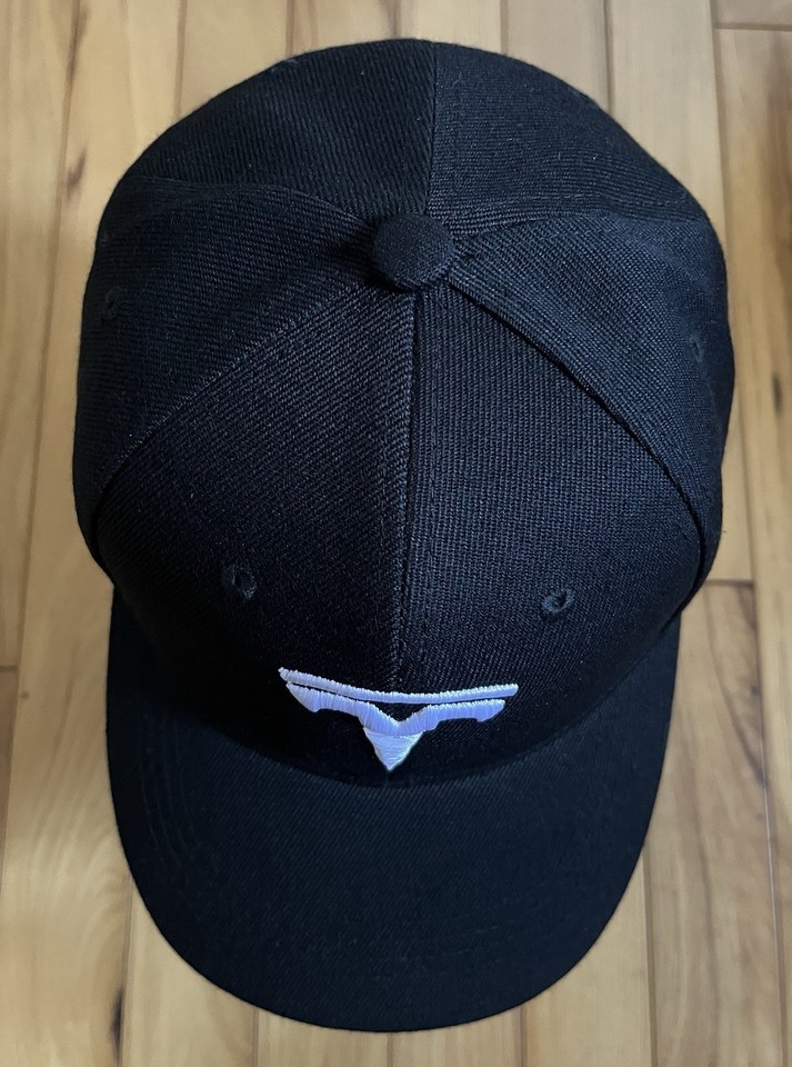 Auto-Car Tesla Symbol Black Baseball Cap. ***A hat worth more than its ...