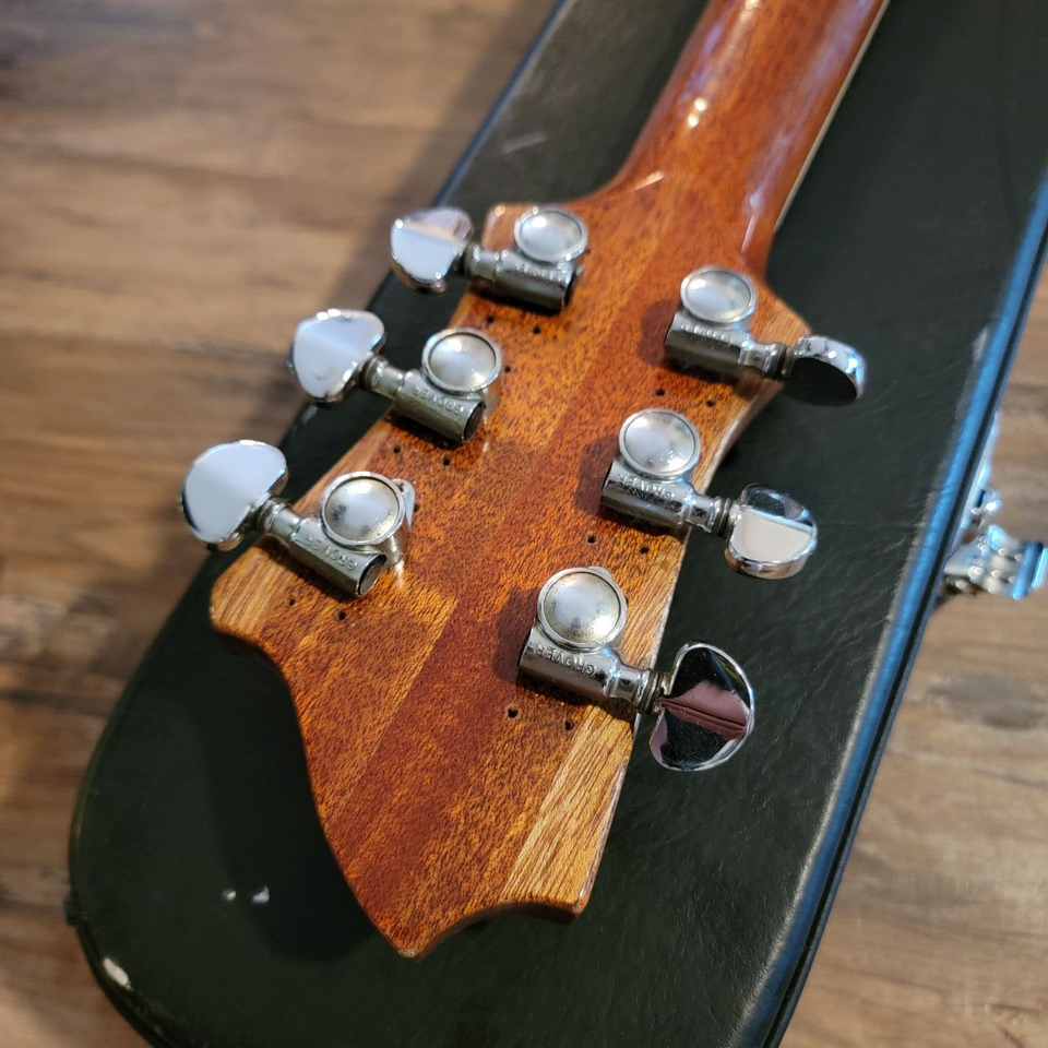 Hagstrom Patch 2000 Electric Guitar Synth 1970s With Ampeg Patch Foot ...