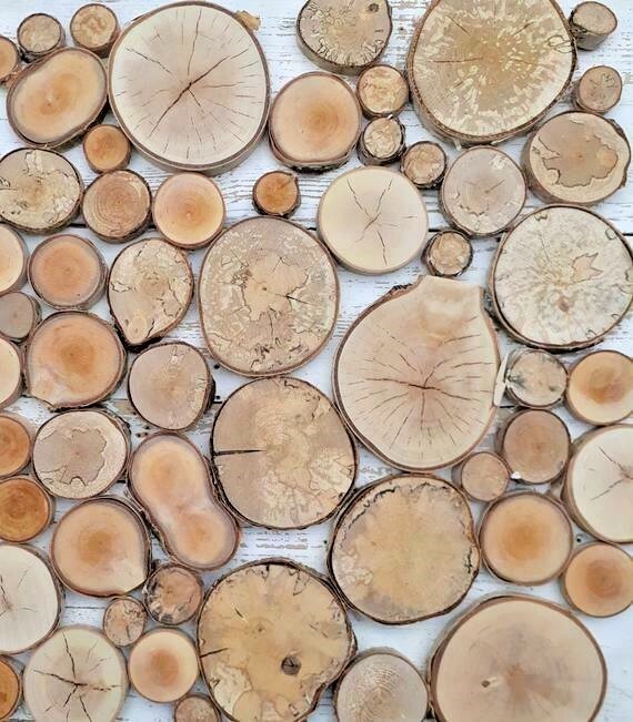 Decorative fireplace display logs Wood Slices Rustic decor Wall craft ...