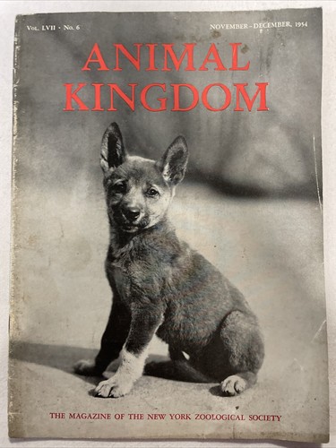 1954 December, Animal Kingdom Magazine, Dingo Pup (MH859) | eBay