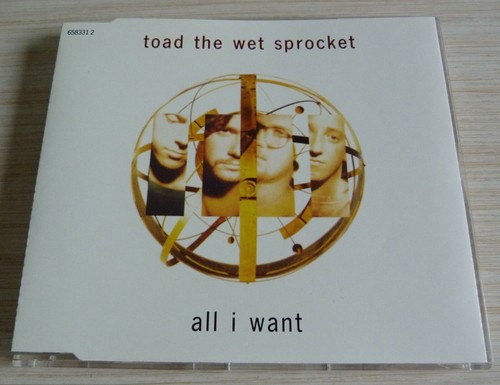 CD MAXI SINGLE 4 TITRES TOAD THE WET SPROCKET ALL I WANT 1992 | eBay