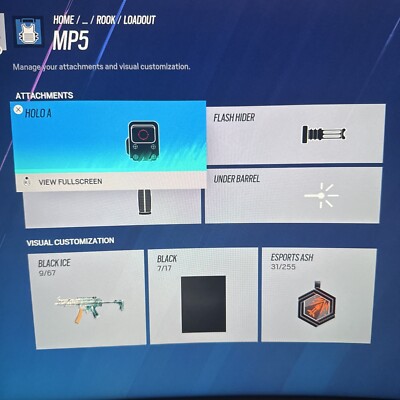 R6 Accounts lvl 50 random | eBay UK