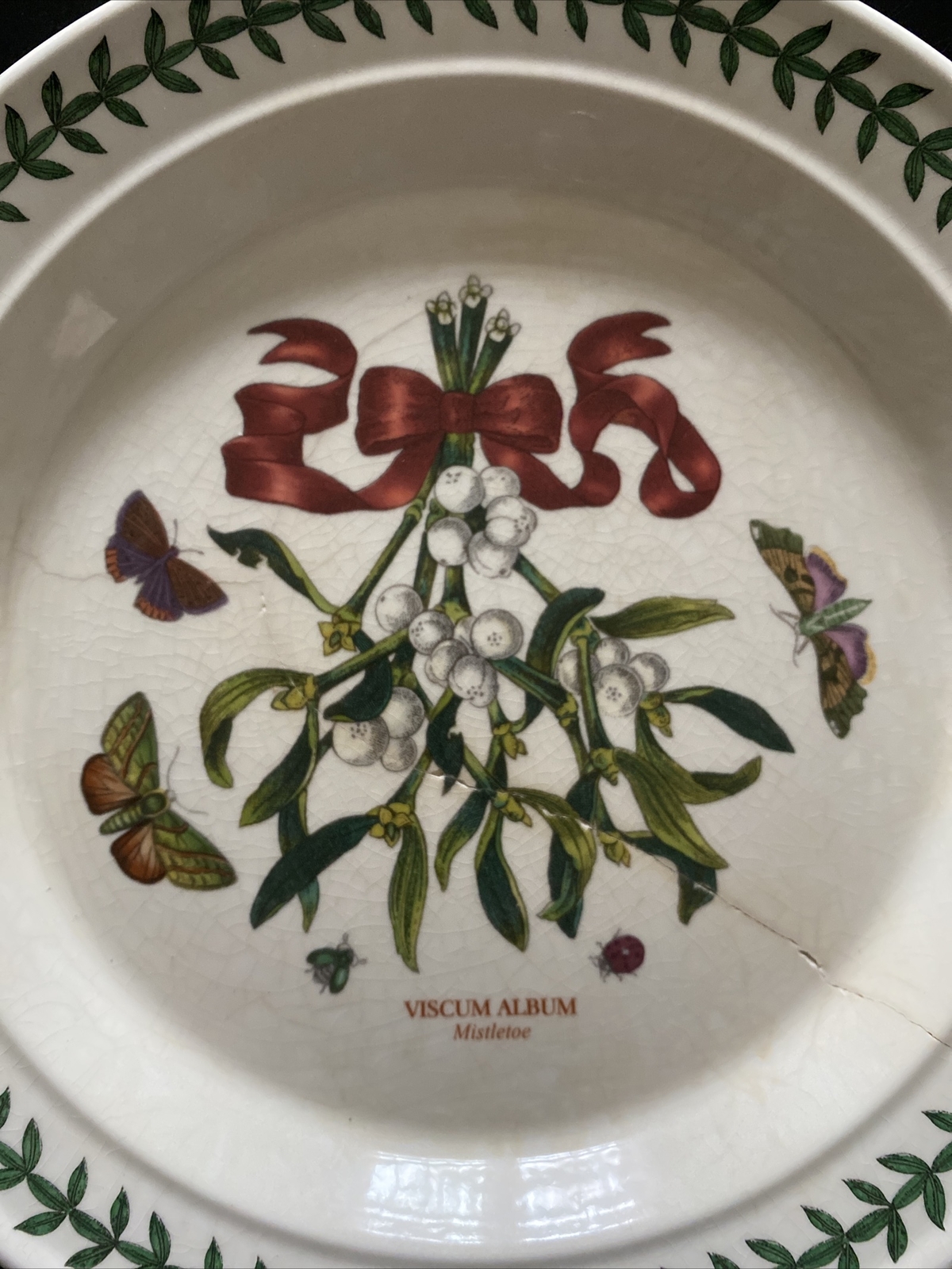 Mistletoes Plate Craft Project